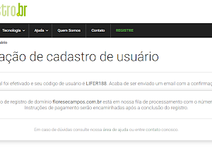 Registro.br: passo a passo de como comprar um domínio