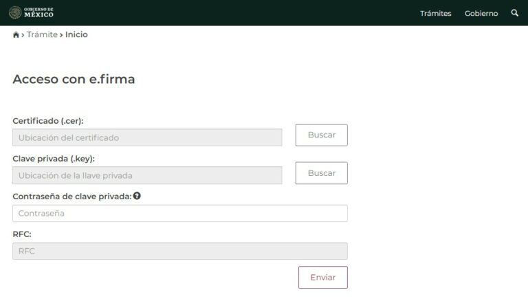 Firma electrónica SAT: ¿qué es y para qué la necesitas?