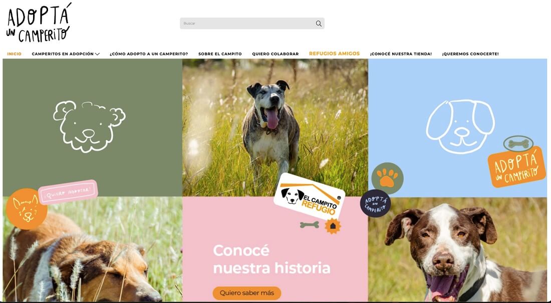 ¿Qué es una página web y cómo crear la de tu negocio?