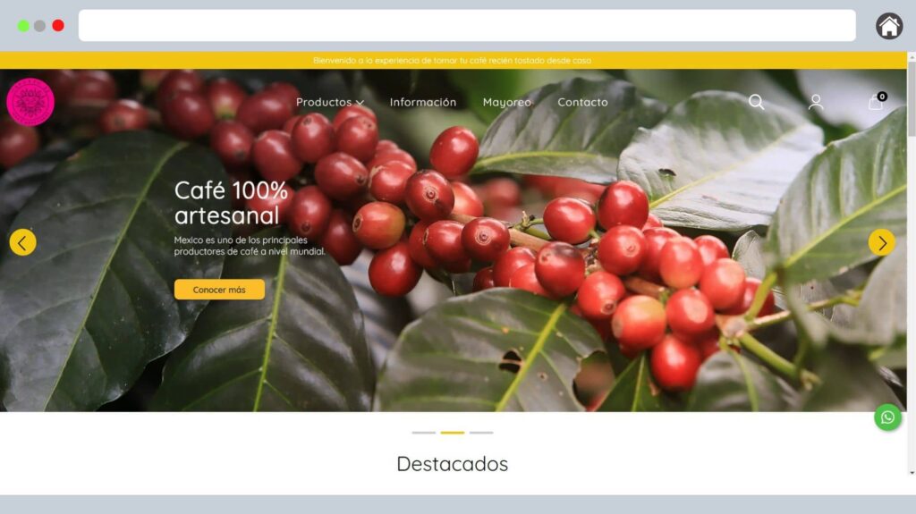 + 20 proveedores de café en México para iniciar tu negocio