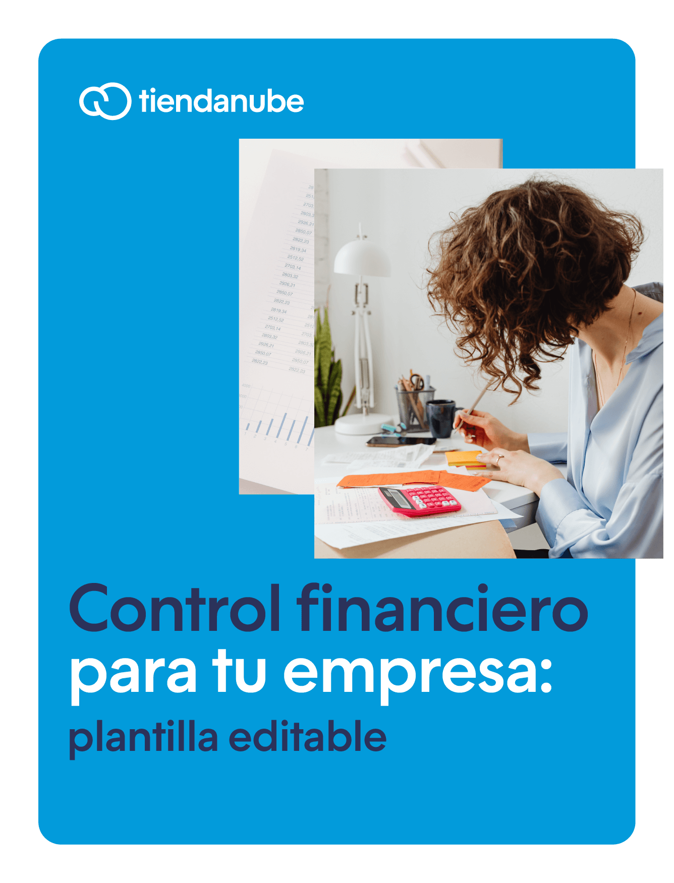 Control financiero empresarial, plantilla de excel gratis
