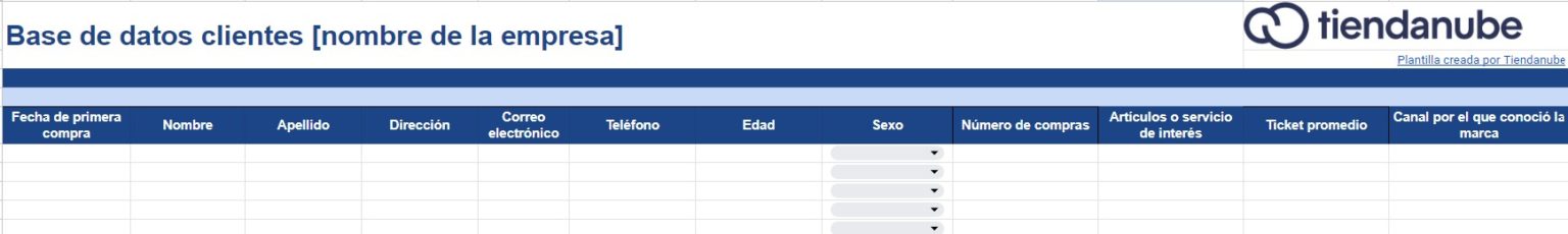 ¿Cómo hacer una base de datos? Plantilla en Excel