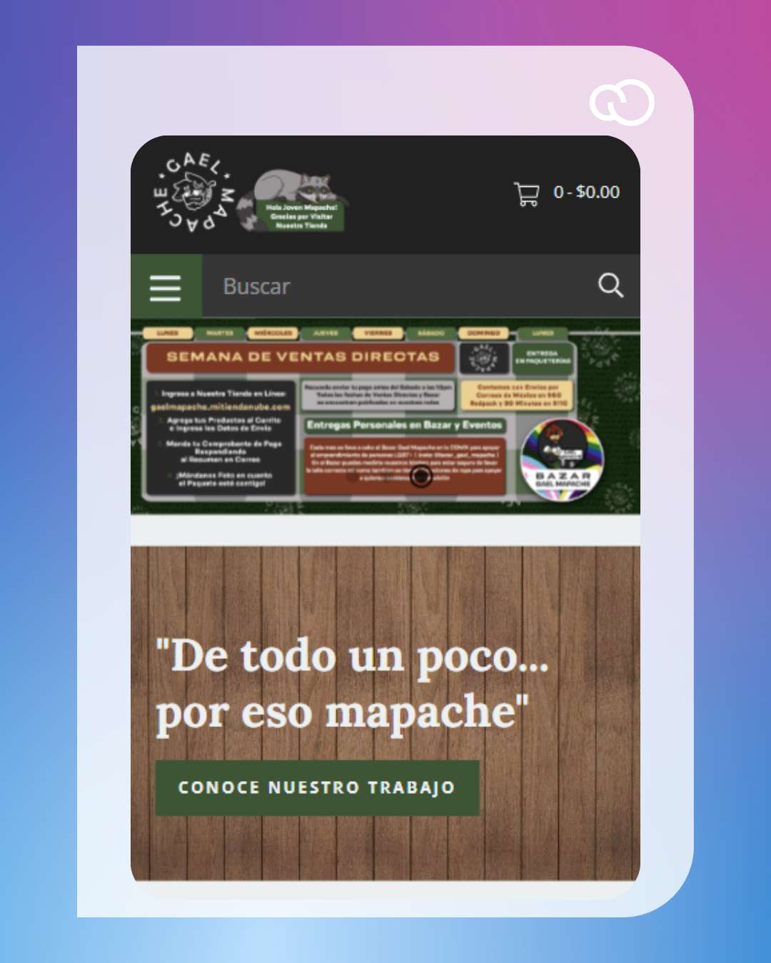 Gael Mapache, un emprendimiento de nicho muy exitoso