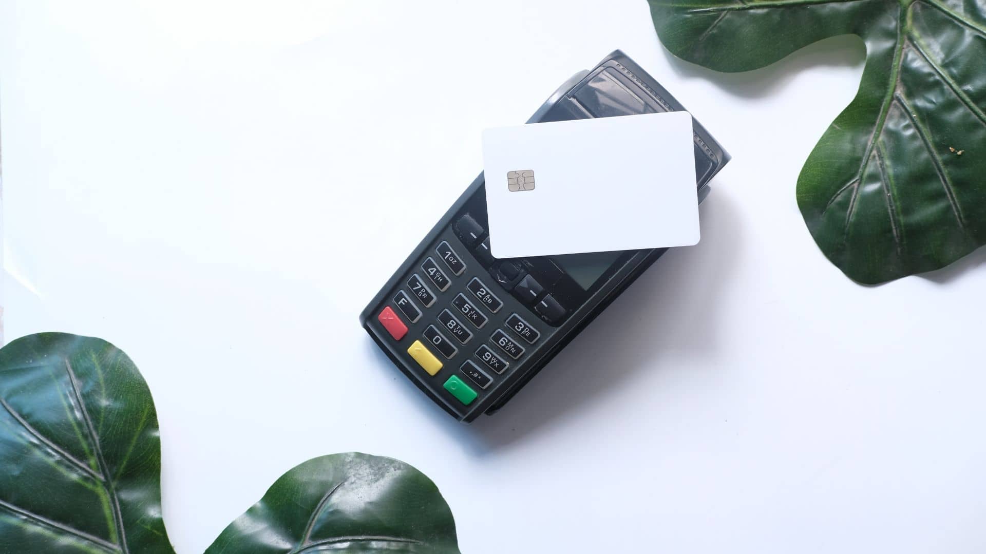 TOP 5: ¿Cuál es la mejor terminal punto de venta en México?