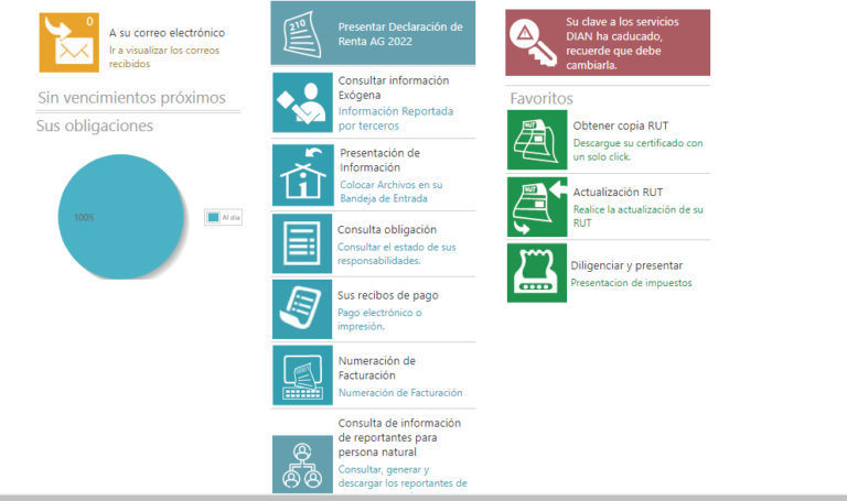 Cómo actualizar el RUT: guía paso a paso