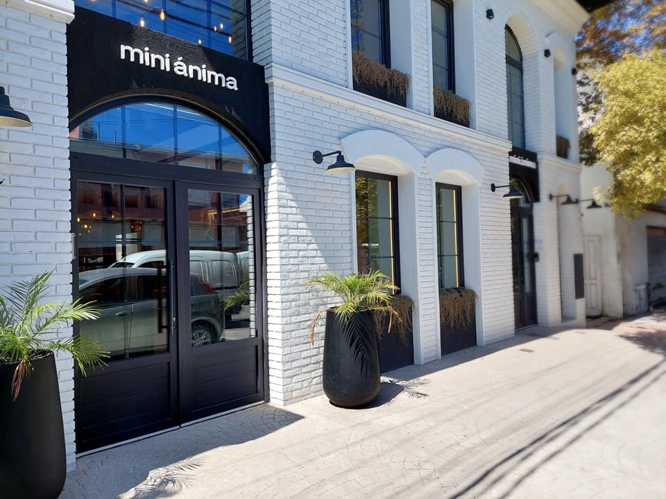 Mini Ánima: líder online vendiendo ropa y productos de bebés