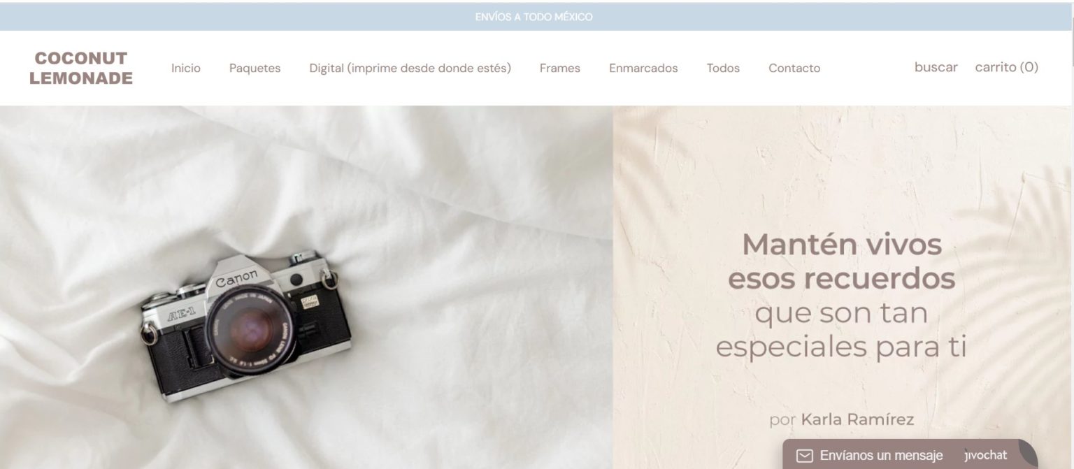 18 temas para una página web: elige el mejor para tu marca