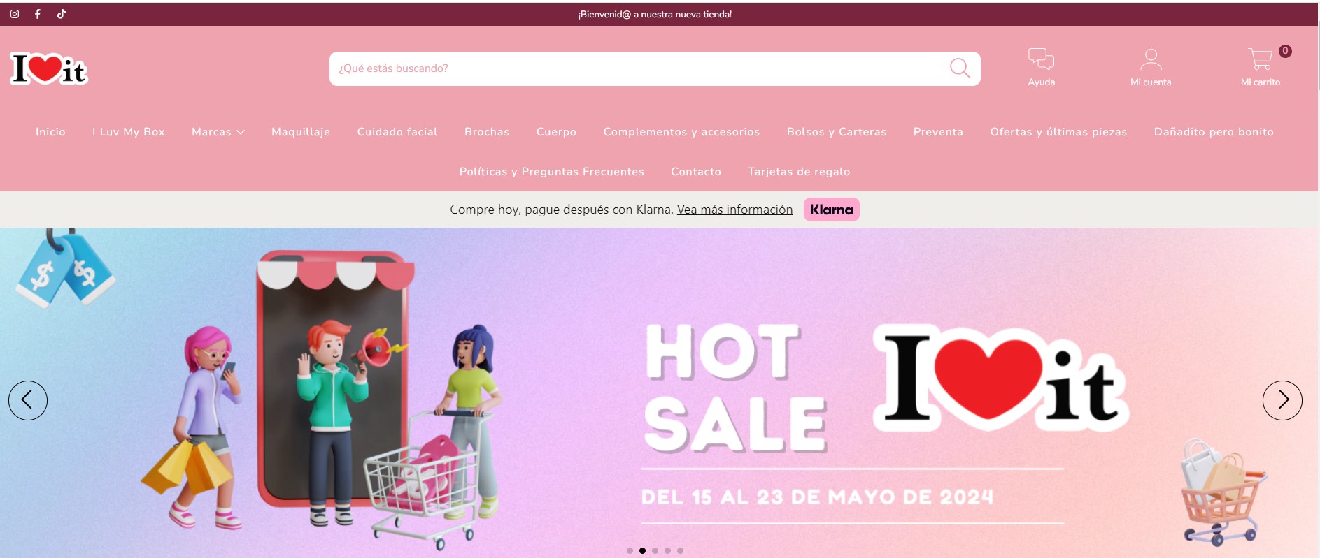 18 temas para una página web: elige el mejor para tu marca