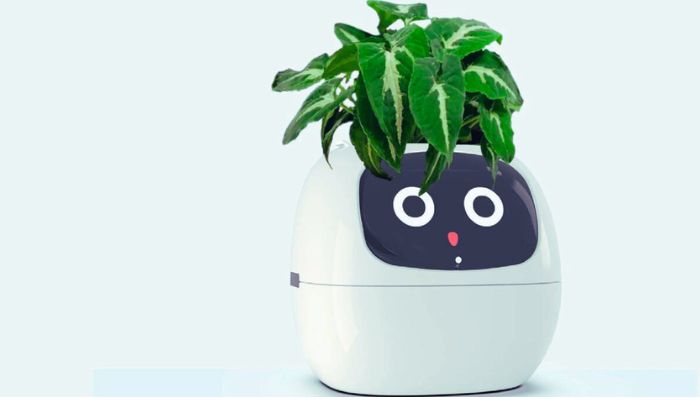 30 productos innovadores para vender e inspirarte