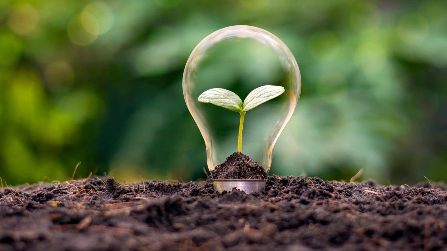 +25 materiales sustentables y sus principales características